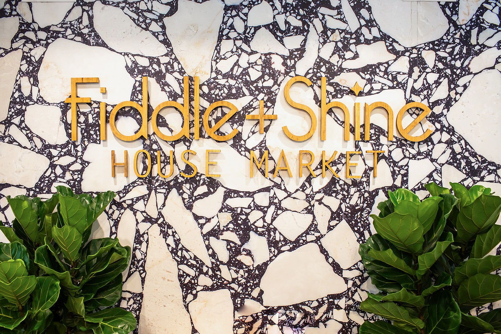 Welcome Home to Fiddle + Shine - Your Ultimate House Market – Fiddle ...