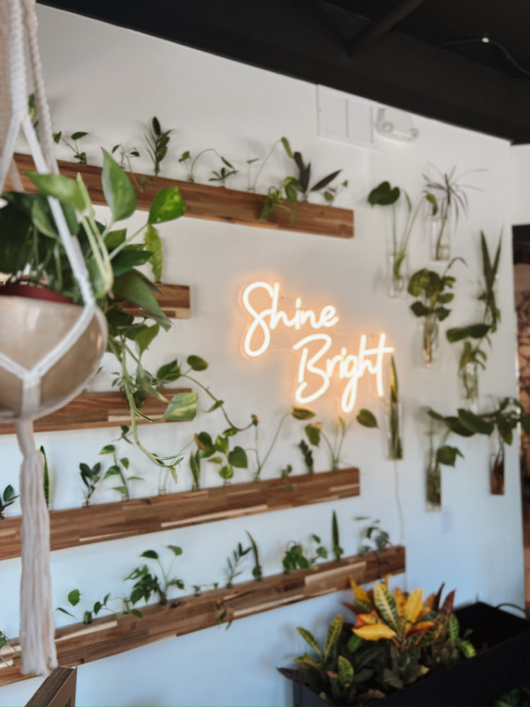 Welcome Home to Fiddle + Shine - Your Ultimate House Market – Fiddle ...